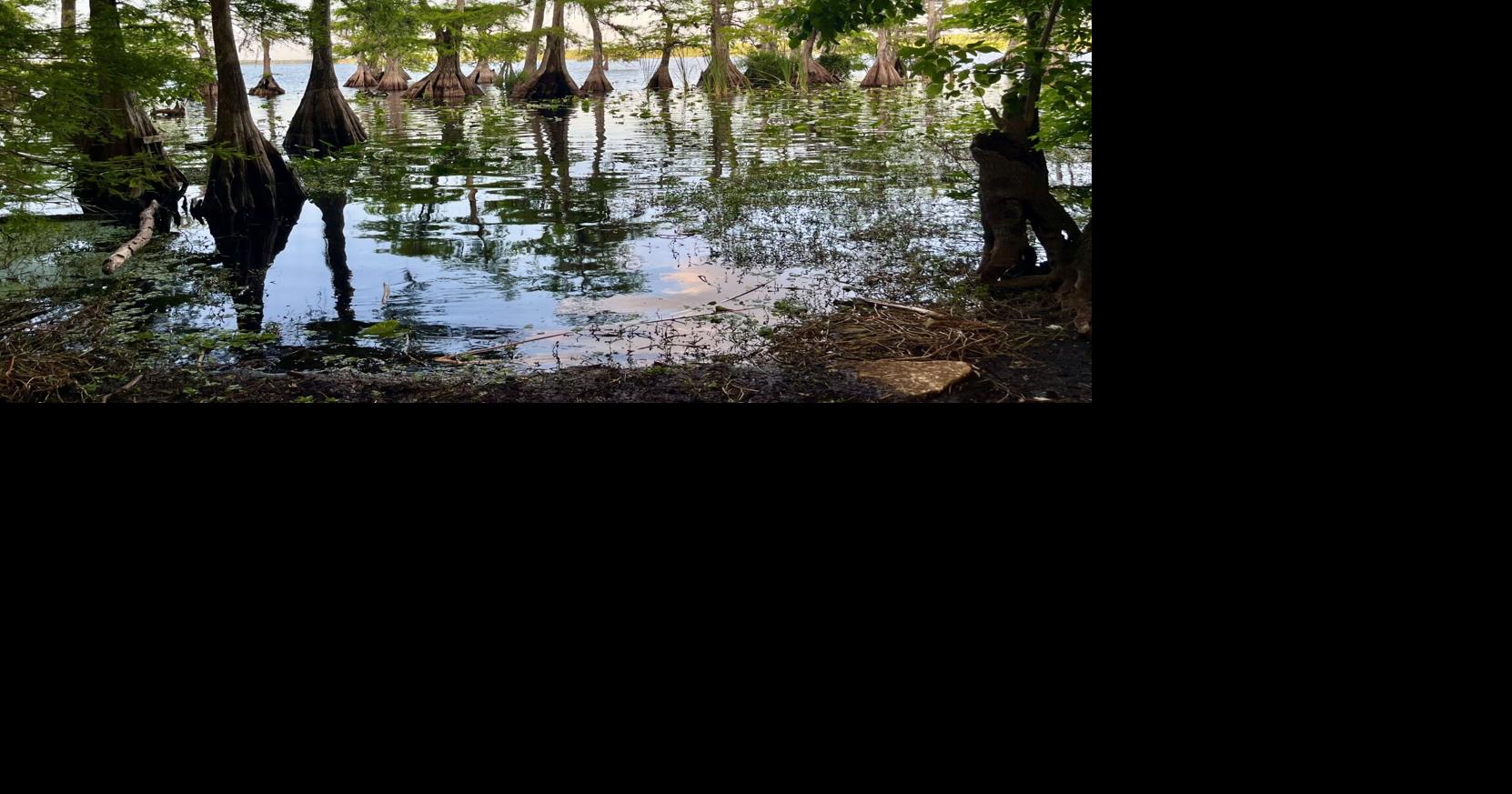 Lake calendars now available | Community | midfloridanewspapers.com