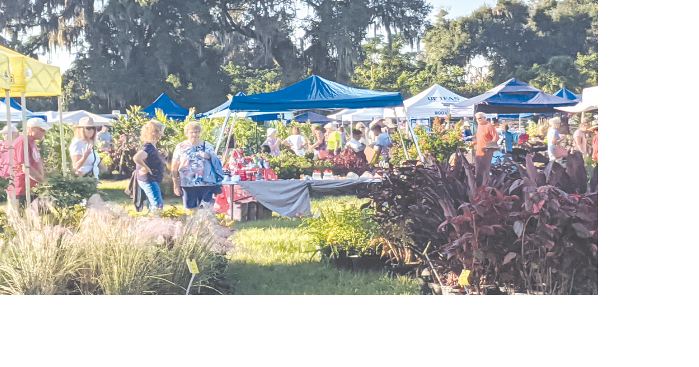 Annual spring and garden fest planned | Sumter Sun Times ...