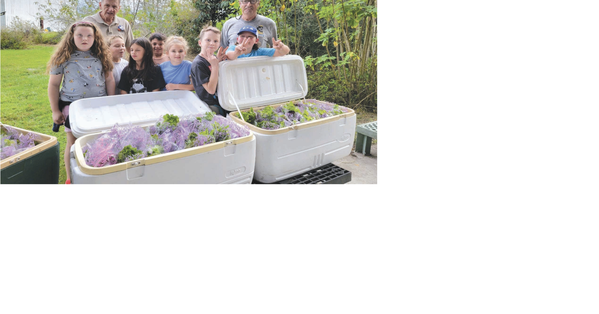 Youth garden ‘growing’ lifelong lessons | Sumter Sun Times ...