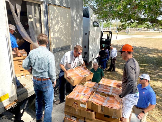 Linking hog sales to sausage drops | Highlands News-Sun ...