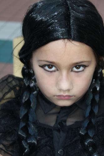 Heartland Family Fall Festival draws crowd | Highlands News-Sun ...