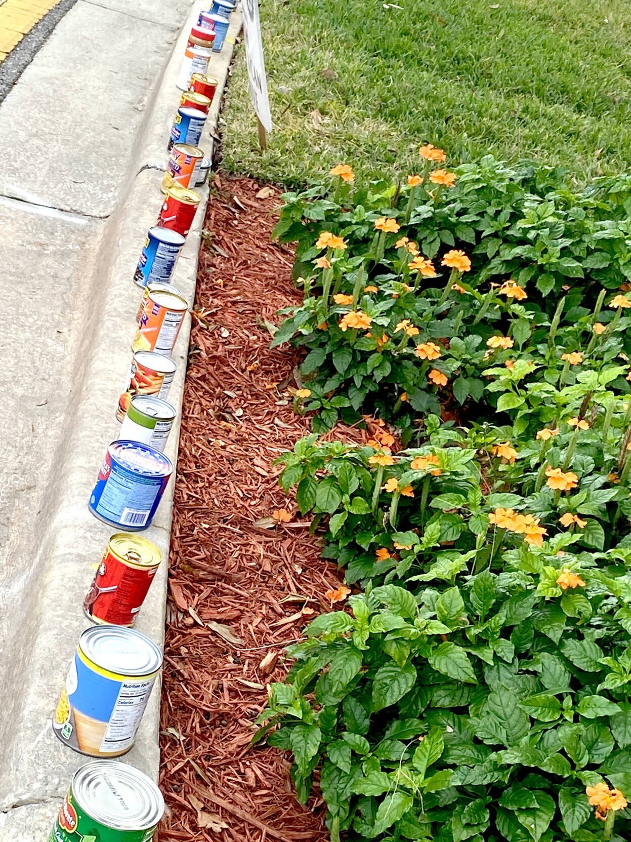 Donations trickle in slow during Circle of Cans | Highlands News-Sun ...