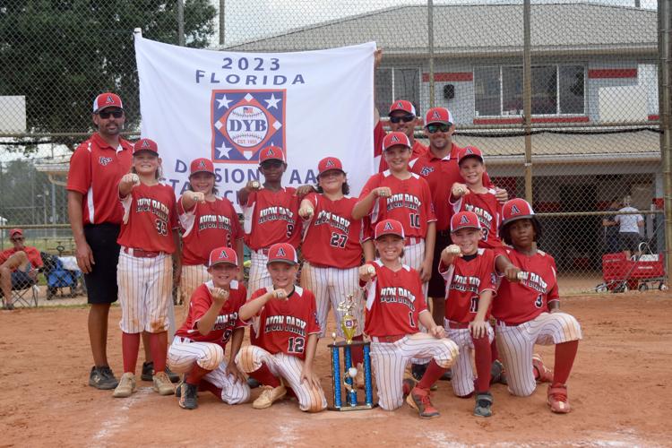 dixie state baseball division