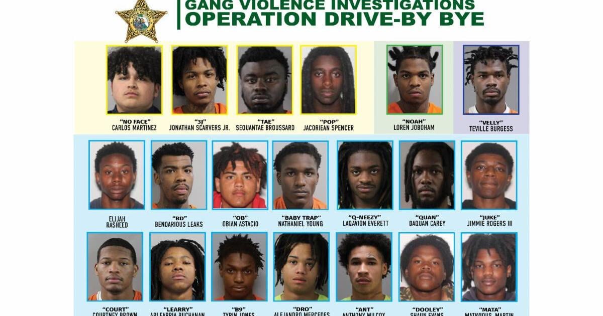 Operation Drive-By Bye nets 19 suspected members of five gangs | News ...