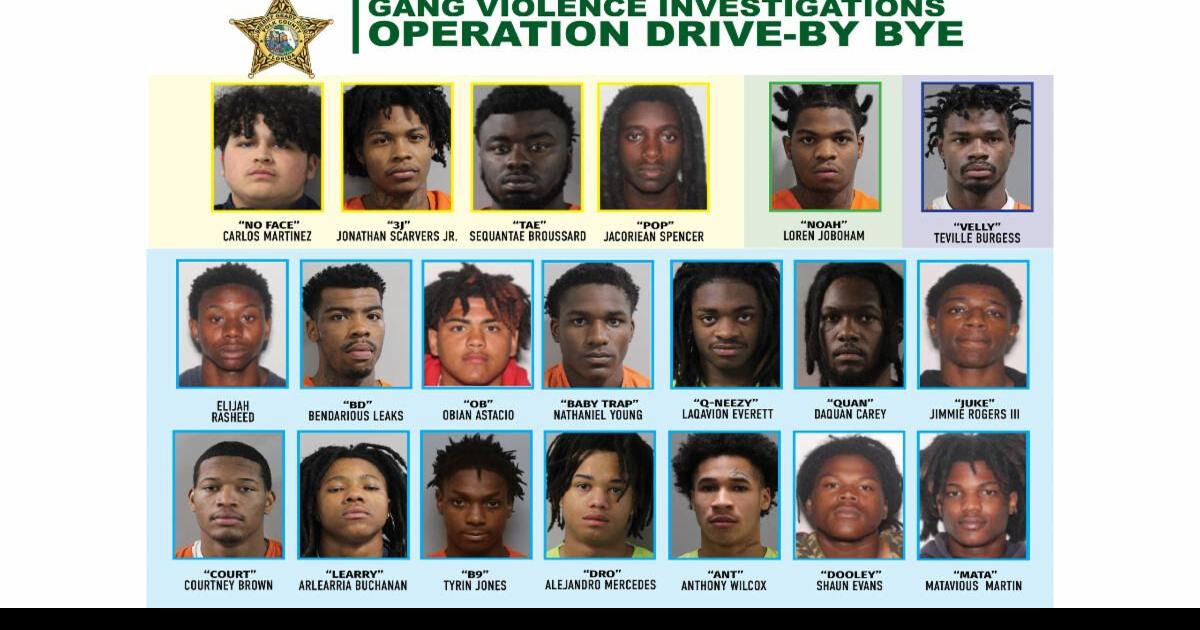 Operation Drive-By Bye nets 19 suspected members of five gangs | News ...