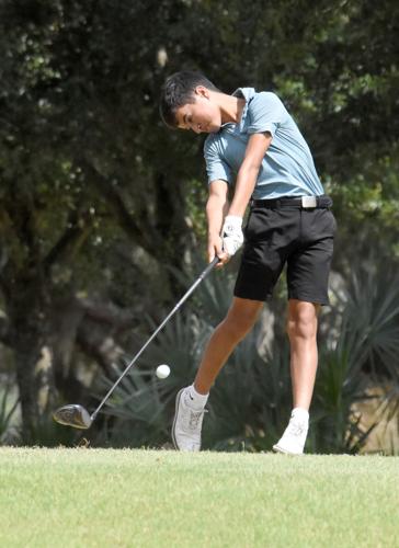 Golfers take to the greens for Sebring Rotary | Local ...