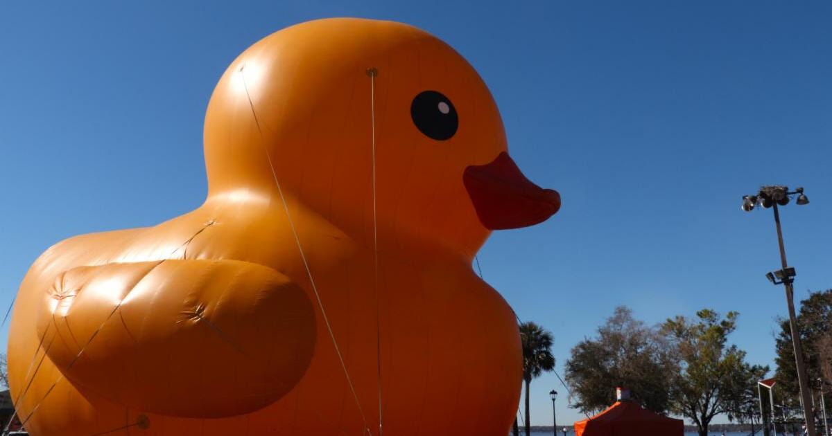Everything’s ducky | Community | midfloridanewspapers.com