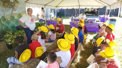 Ag-Venture needs a few more volunteers | News | midfloridanewspapers.com