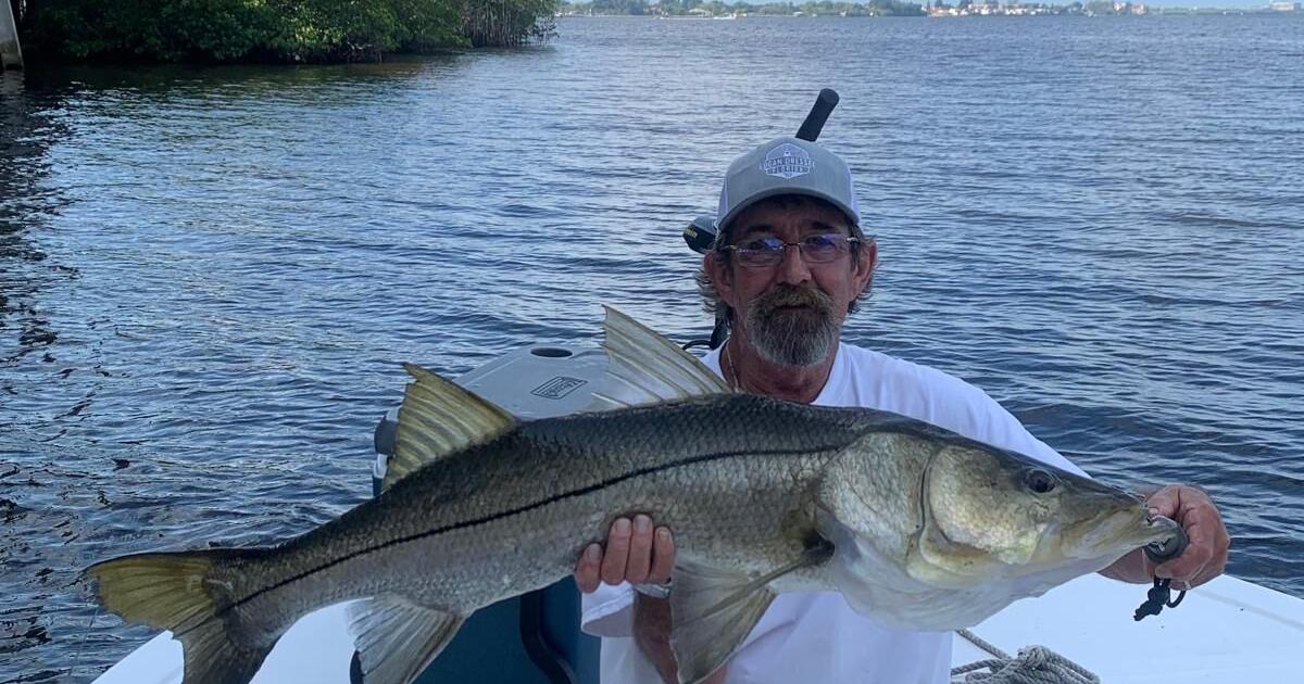 John Linus Sedlock: a life well lived | News | midfloridanewspapers.com