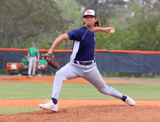 Panthers take series with wild walk-off | Local | midfloridanewspapers.com