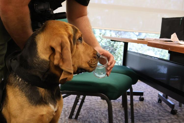 Scent Evidence K9 is the program that prepares and protects your loved ...