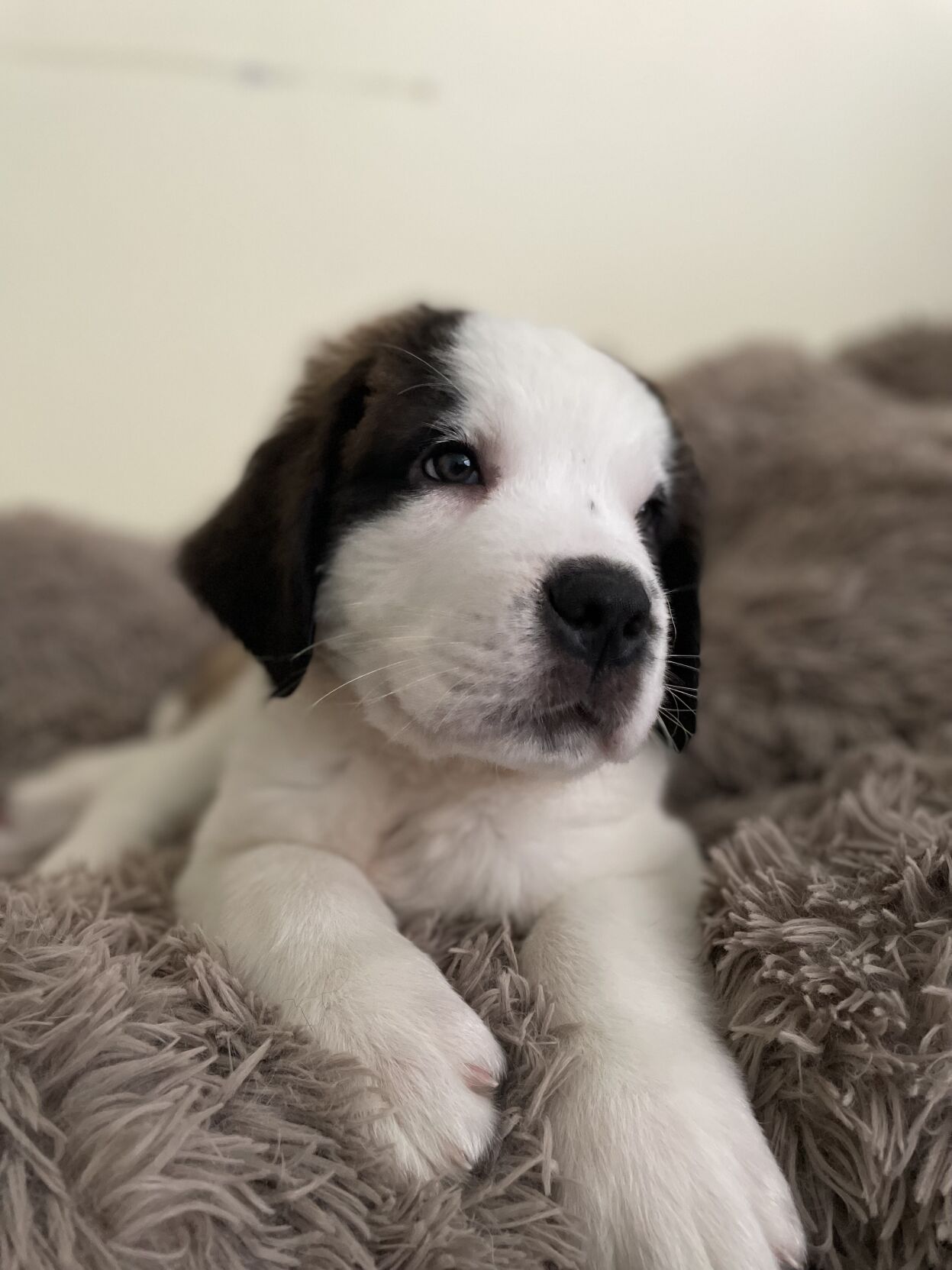 Goodbye, Dave | Clermont News Leader | midfloridanewspapers.com