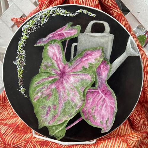 Caladium more pics | Highlands Sun | midfloridanewspapers.com