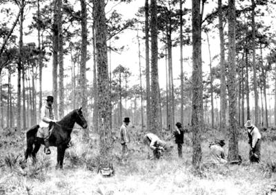 Archeologists seek anecdotes about Nalaka | Highlands News-Sun ...