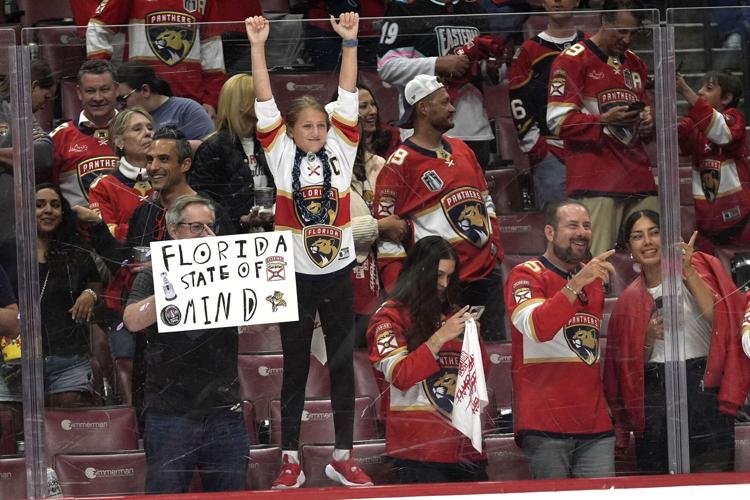 Florida Panthers, with help from NHL, push to grow hockey in Latino ...
