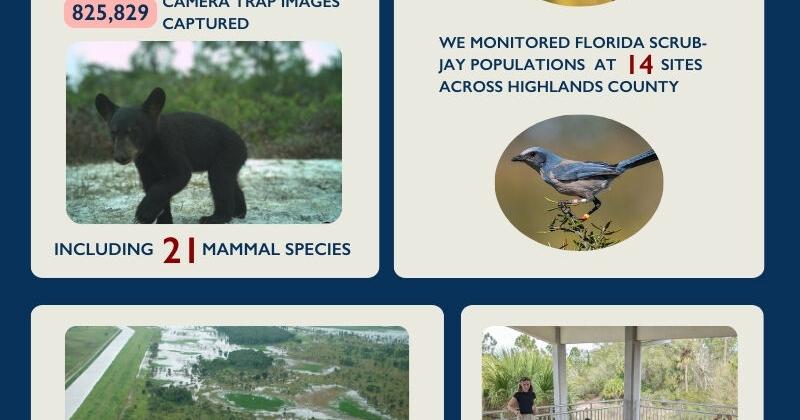 2024: A year of conservation, science, and community at Archbold | News ...