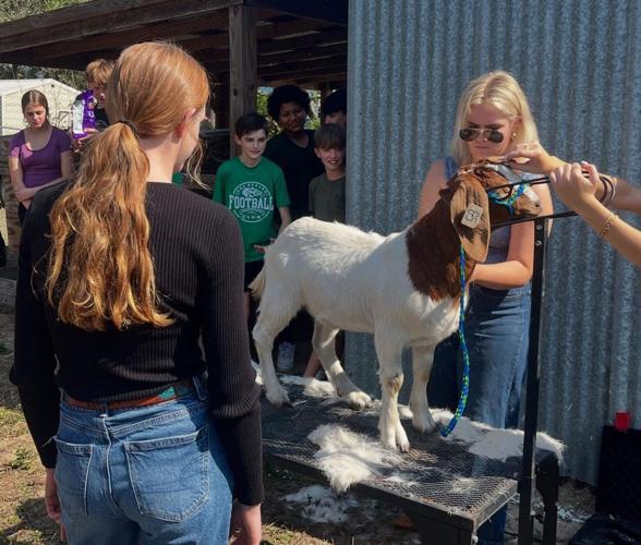 Dean raises agricultural awareness | News | midfloridanewspapers.com