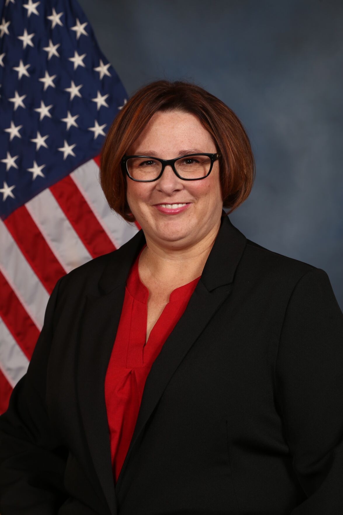 Governor selects Anne Gibson as Polk’s newest judge | Winter Haven Sun ...
