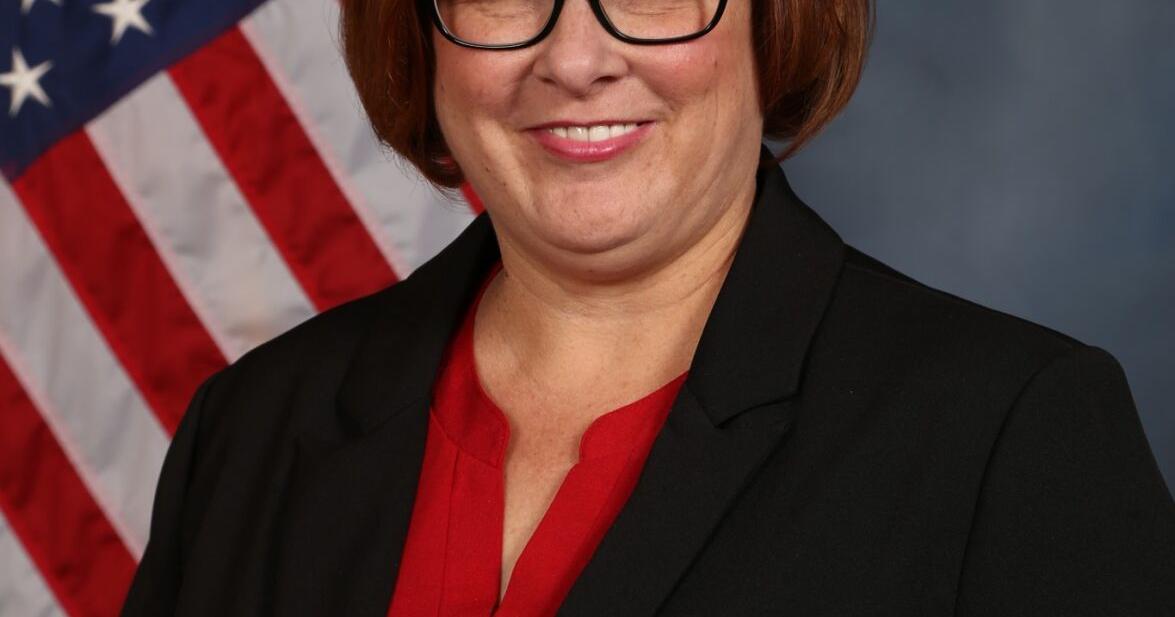 Governor selects Anne Gibson as Polk’s newest judge | Winter Haven Sun ...