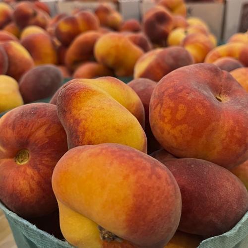 Dreaming of summer peaches? Some gardening tips for growing a peach ...