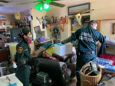 Polk County Sheriff's Office investigating animal neglect hoarder case ...