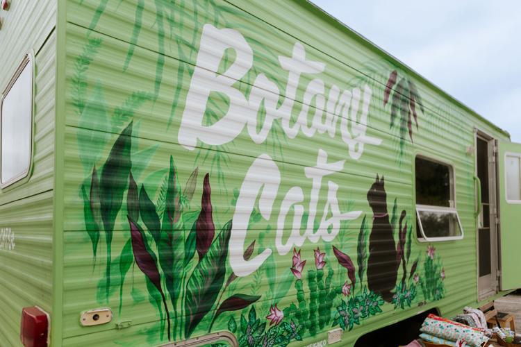 Mobile cat adoption makes purr-fect hangout | News ...