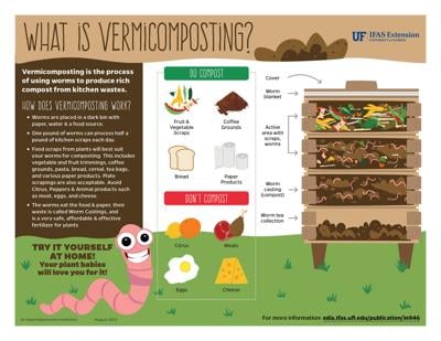 composting process at home