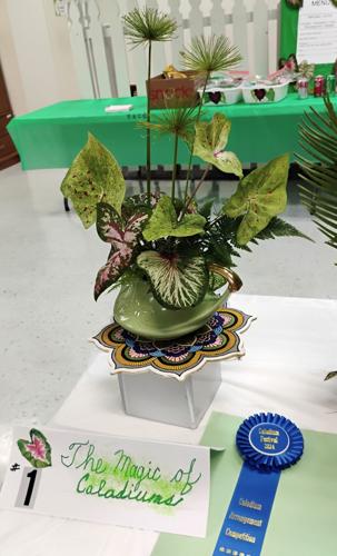 Garden Club floral contest produces 3 winners | Highlands Sun ...