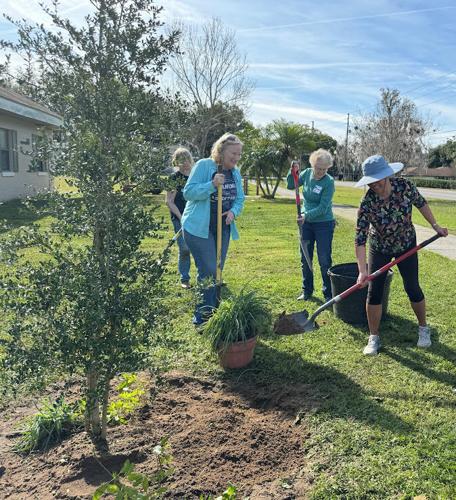 Clermont gardeners celebrate Florida Arbor Day | Community ...