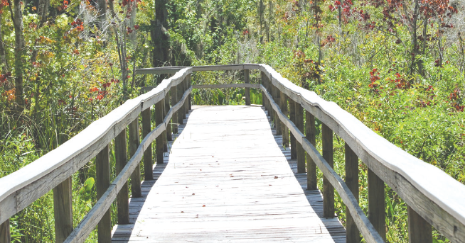 Boardwalk closure | Community | midfloridanewspapers.com