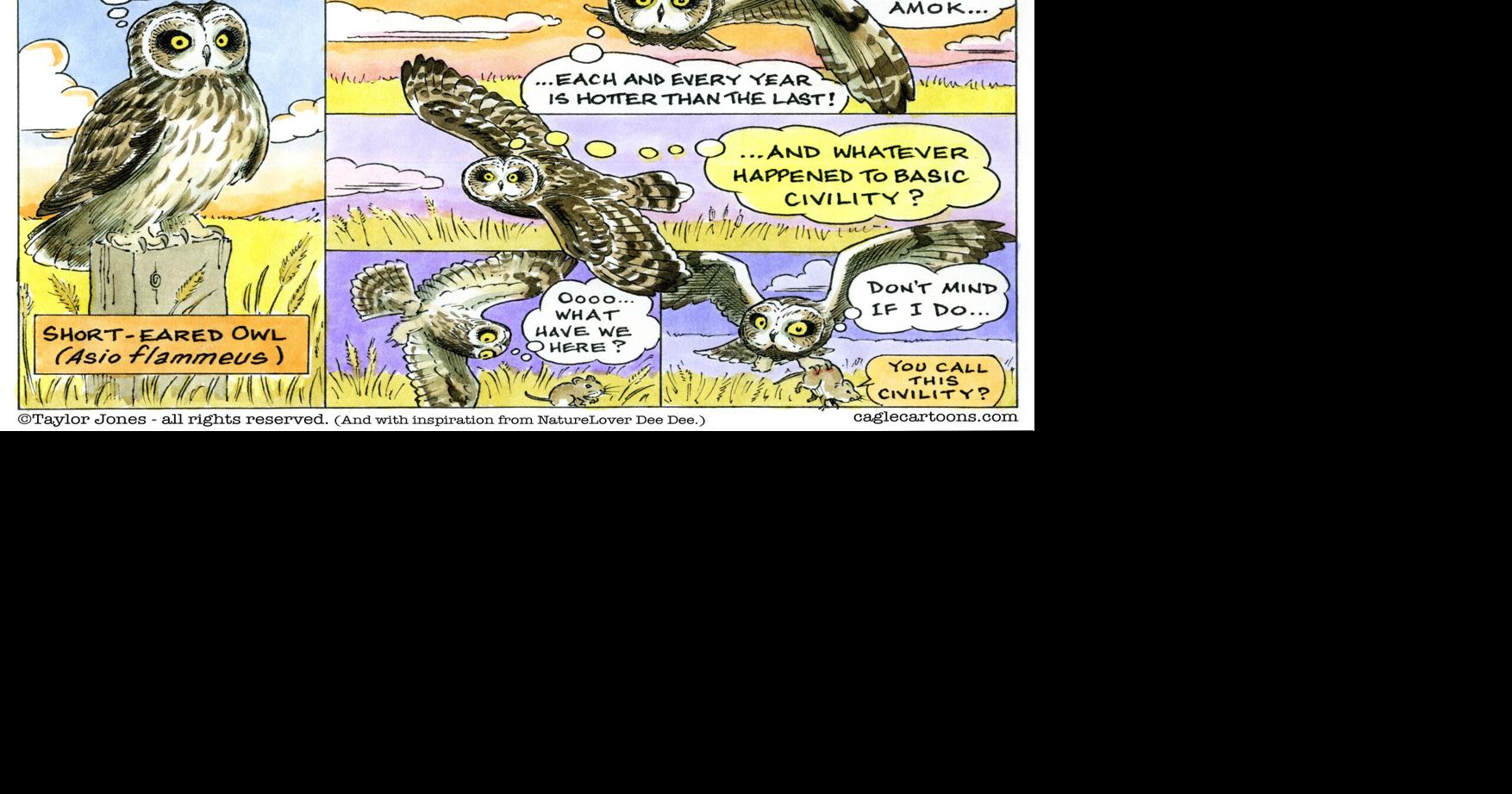 Opinionated owl | Opinions | midfloridanewspapers.com