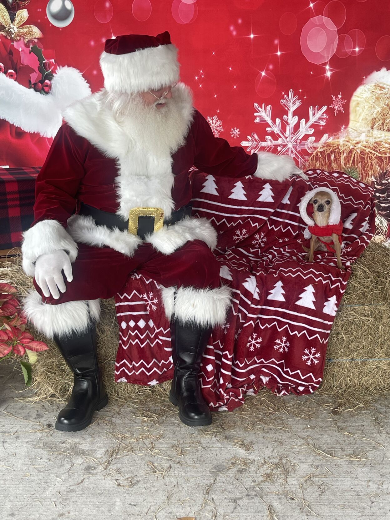 Making Santa wishes | Clermont Sun | midfloridanewspapers.com