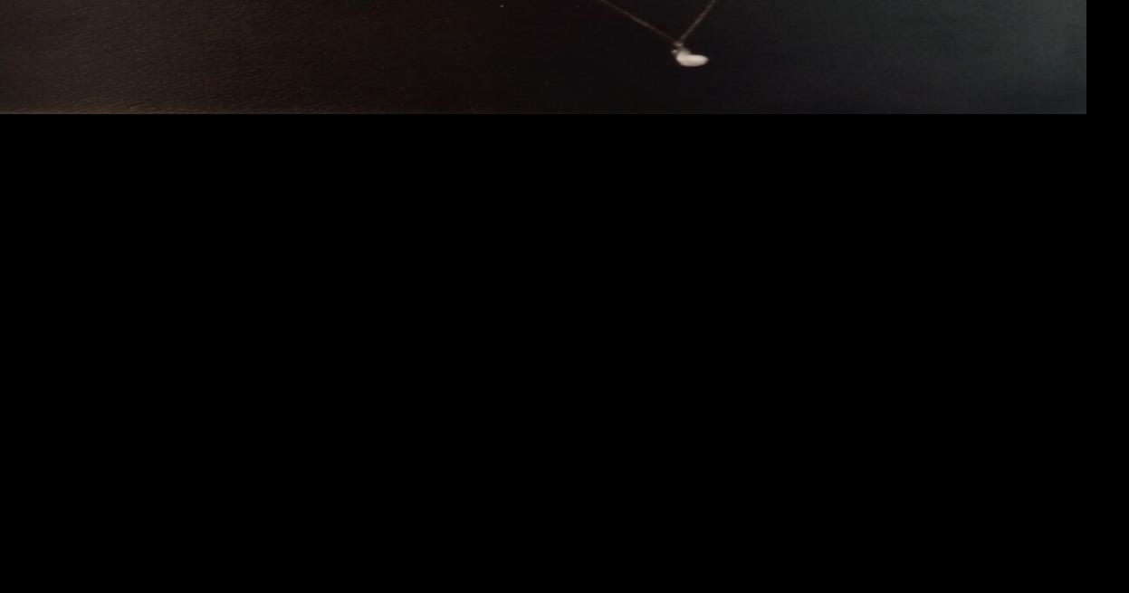 Susan G. Simko | Obituaries | midfloridanewspapers.com