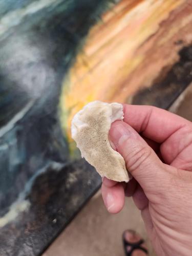 Museum restores Peter Powell Roberts' valuable paintings for show ...