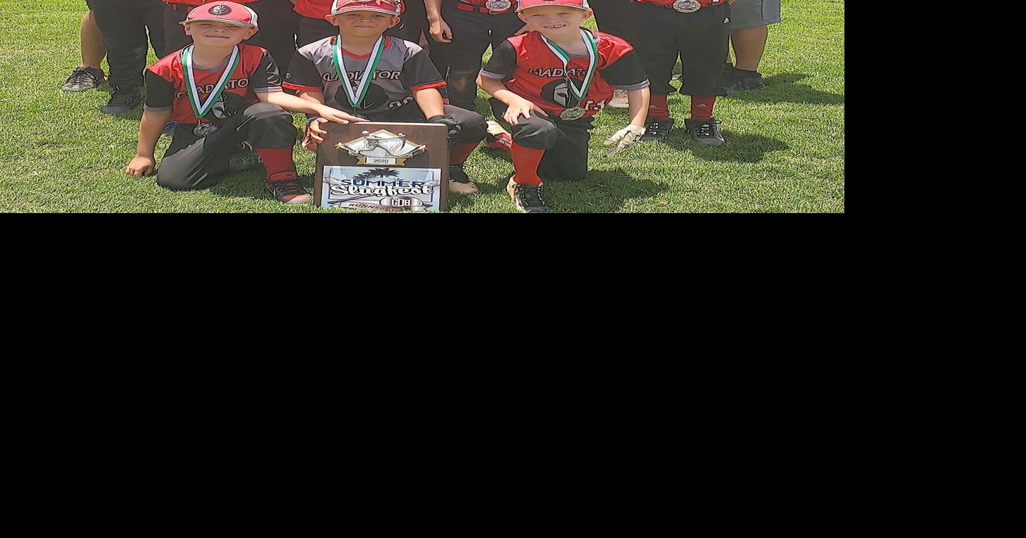 Davenport youth travel baseball teams want local kids to get in the ...