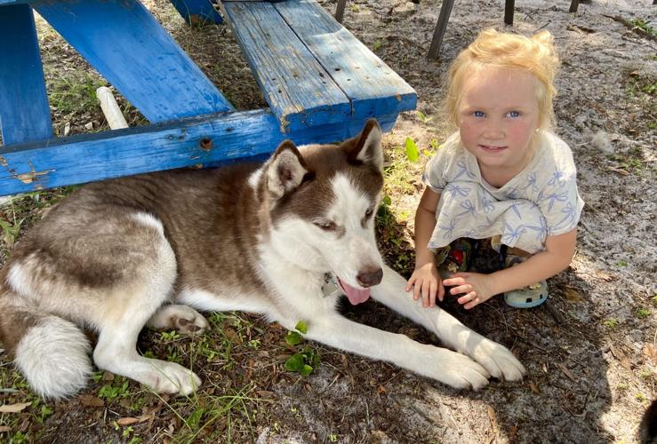 Pawsitive Impact Day brings joy to dogs and kids | Highlands Sun ...