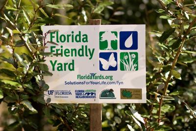 Florida-Friendly plant app shows right plants for a sustainable ...