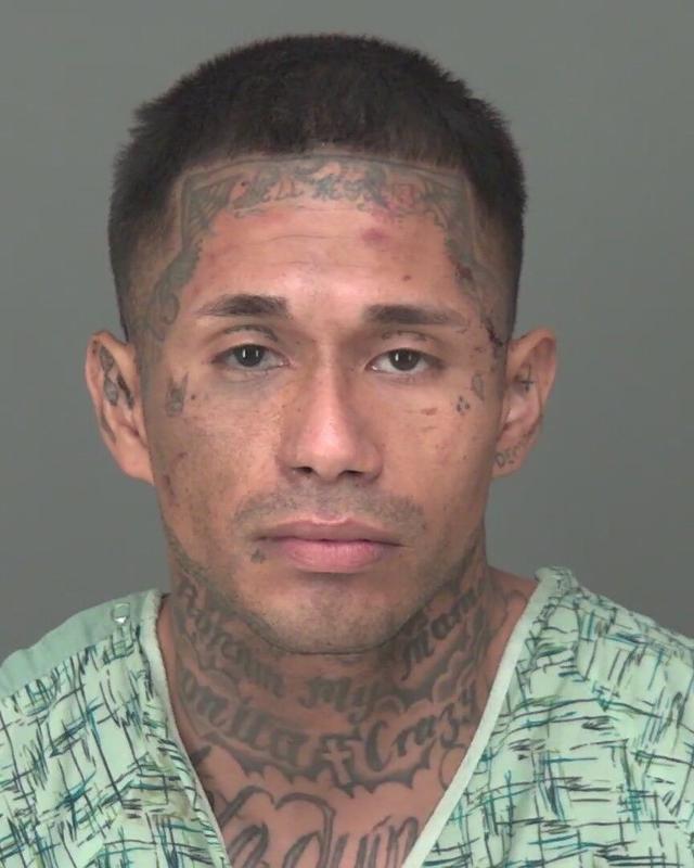 Suarez could not elude K-9 | Highlands News-Sun | midfloridanewspapers.com