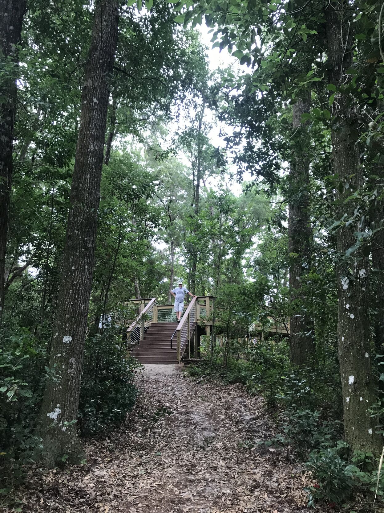 Walk and learn at Mount Dora's newest nature preserve | Community ...