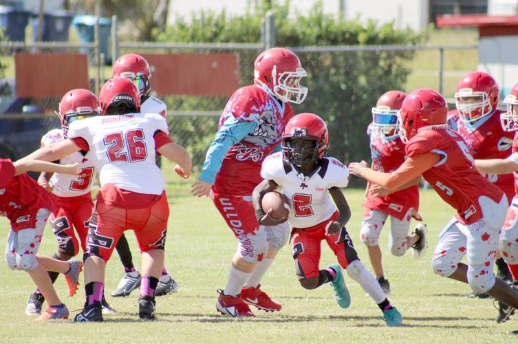AP youth football teams impress against Bulldogs | Highlands News-Sun ...