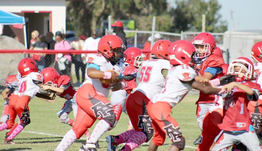 AP youth football teams impress against Bulldogs | Highlands News-Sun ...