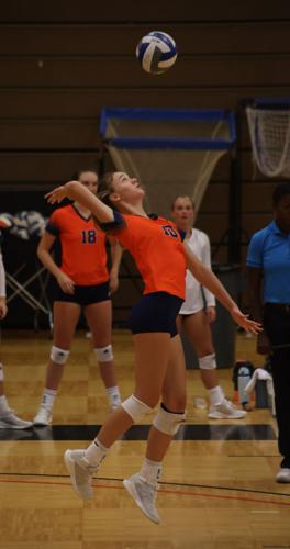 Panthers volleyball looking to reset | Local | midfloridanewspapers.com