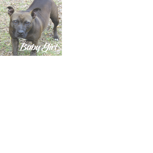 YOUR Humane Society SPCA | Sumter County Shopper | midfloridanewspapers.com