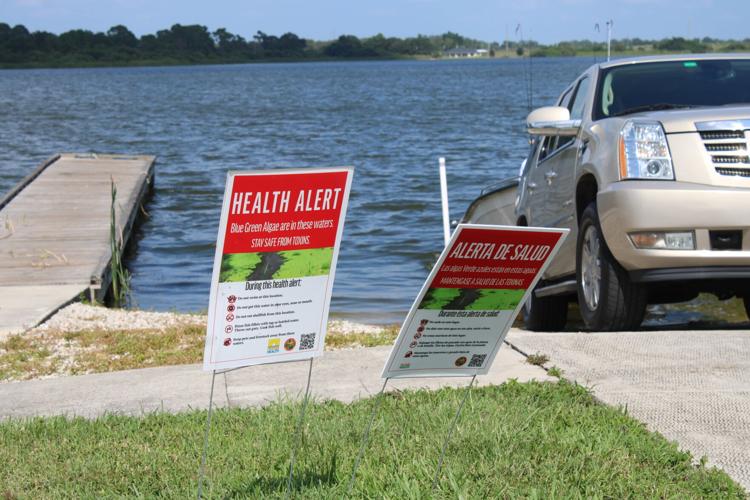 Health Department issues blue-green algae health alert for Lake Glenada ...