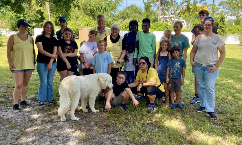 Pawsitive Impact Day brings joy to dogs and kids | Highlands Sun ...