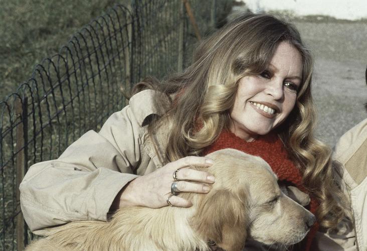 Brigitte Bardot, 1960s French sex symbol turned militant animal rights ...