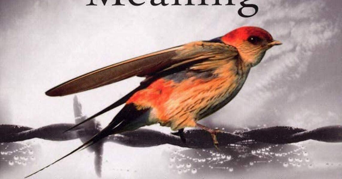 New year, new view | Around Town | midfloridanewspapers.com