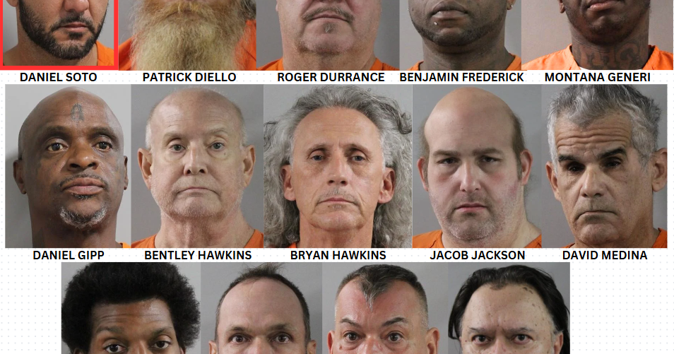 13 sex offenders arrested by Polk County Sheriff's Office | News | midfloridanewspapers.com