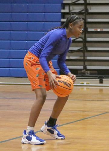Sebring girls hoops plans to utilize experience | Highlands News-Sun ...