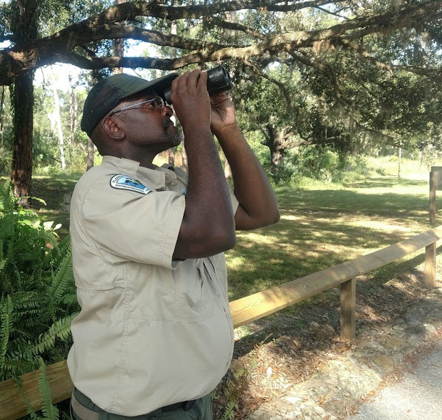 Highlands Hammock announces winter Nature Walks | News ...